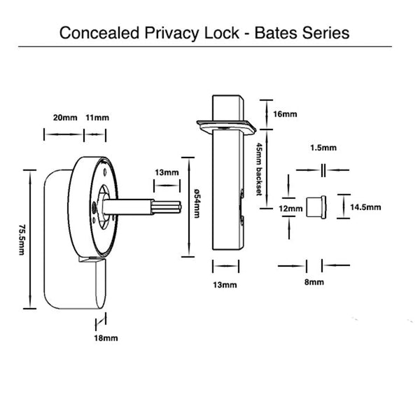 Matt Black Concealed Privacy Set - Bates Series – The Tapware Outlet